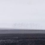 You'll Find Her South Of The Bayou By Toni Toscano | Scout & Nimble