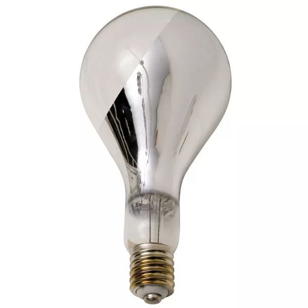Ps52 110 130v 100w E Light Bulb | Scout & Nimble