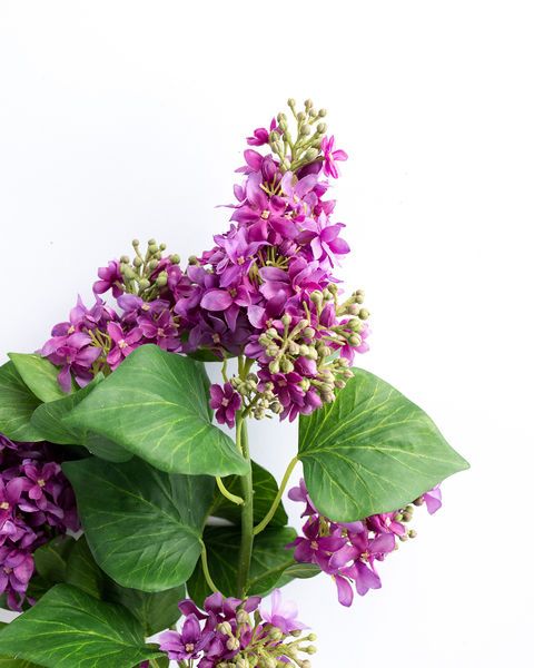 Ruth Lilac Faux Branch | Scout & Nimble