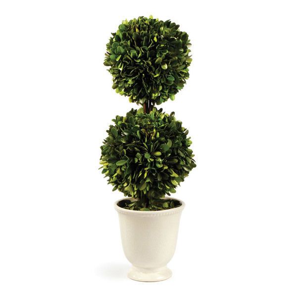 Boxwood Double Ball Topiary In Beaded White Pot | Scout & Nimble