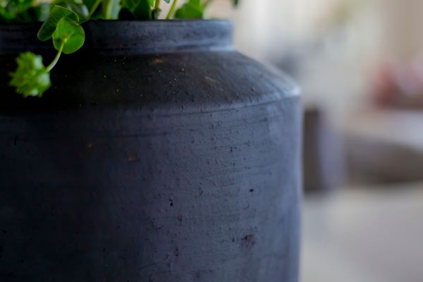 Hazel Short Jar | Scout & Nimble