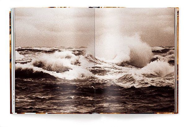 The Wild Horses Of Sable Island Coffee Table Book | Scout & Nimble