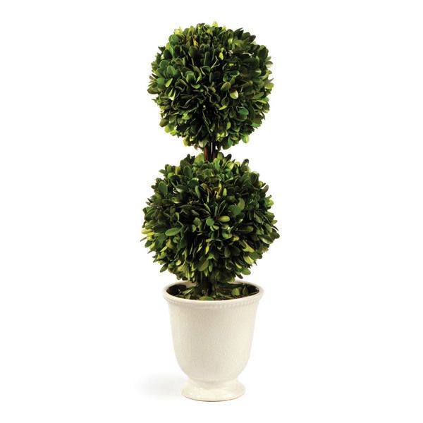 Boxwood Double Ball Topiary In Beaded White Pot | Scout & Nimble