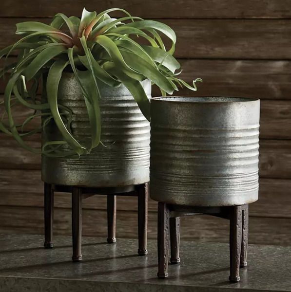 Berkeley Cachepots, Set Of 2 | Scout & Nimble