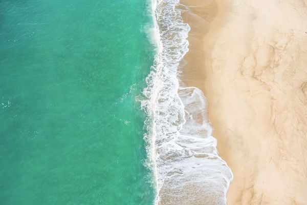 50/50 Art By Ryan Garvin | Scout & Nimble